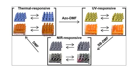 Reprogramming Photoresponsive Liquid Crystalline Elastomer Via Force