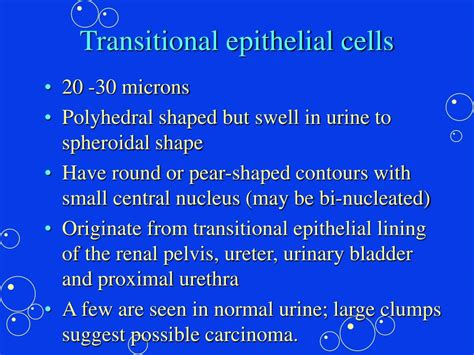 Ppt Microscopic Urinalysis Powerpoint Presentation Free Download