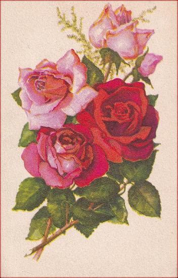 Květiny Růže Kytice Gratulační Xm145 Aukro