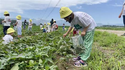 中国农业大学新闻网 学校要闻 上庄实验站入选全国第一批农耕文化实践营地