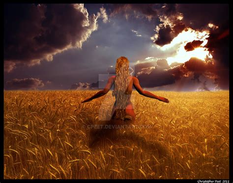 Amber Fields By Cpeet On Deviantart