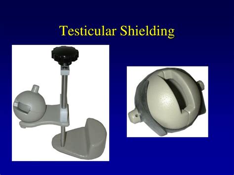 Ppt Testicular Seminoma Powerpoint Presentation Free Download Id