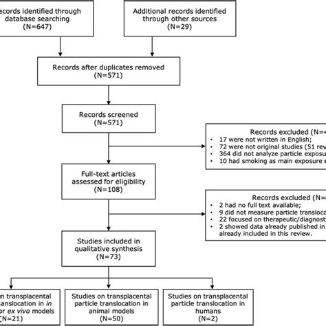 Flowchart Following The Prisma Statement Guidelines Of The Search