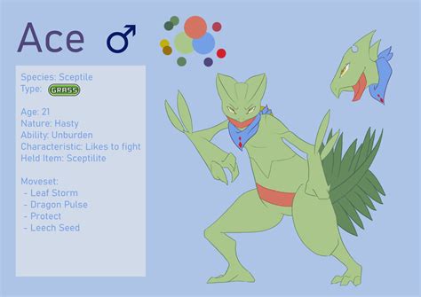 Ace Pokemon Reference Sheet By King 0f Pirates On Deviantart