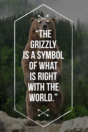 130 Inspirational Quotes About Bears Funny Famous Power