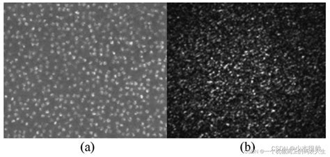 3d视觉到三维视觉之结构光 三维结构光光学方案 csdn博客