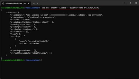 ecs anywhere run aws containers on your home server on premises