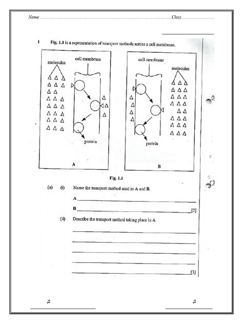 Exam 2025 U6 Easter Holiday Assignment Pdf