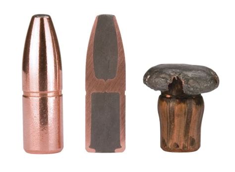 Hunting Bullet Basics How To Find The Perfect Projectile Northern Rifle