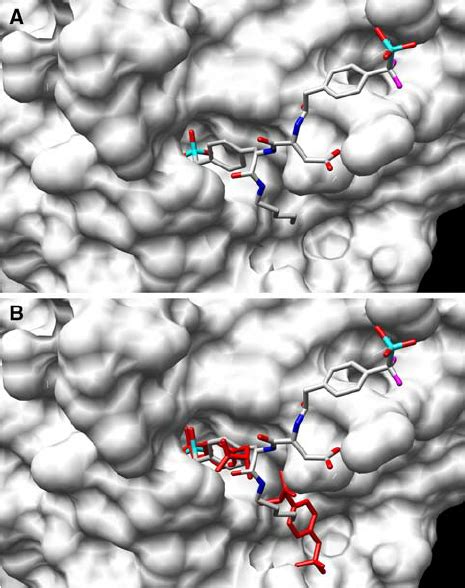 Structure Of The Ptp1b Compound 3 Complex A The Bidentate Ligand Download Scientific