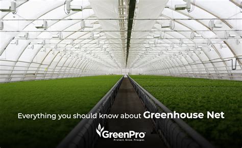 Leading Greenhouse Films Manufacturer In India Greenpro Ventures