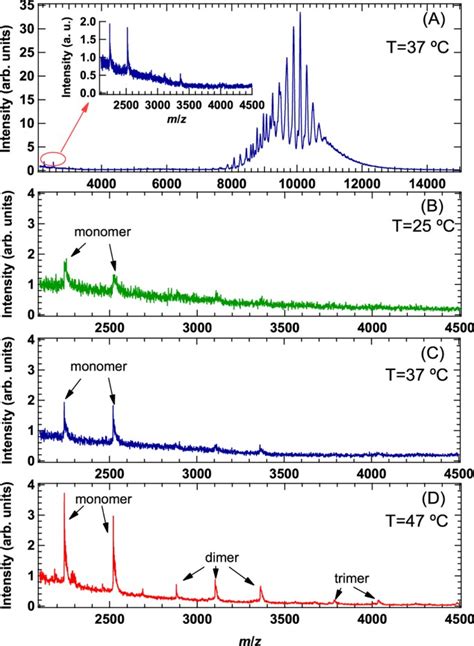 New Insight Into The Dynamical System Of αb Crystallin Oligomers