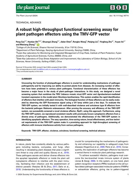 PDF A Robust High Throughput Functional Screening Assay For Plant Pathogen Effectors Using The