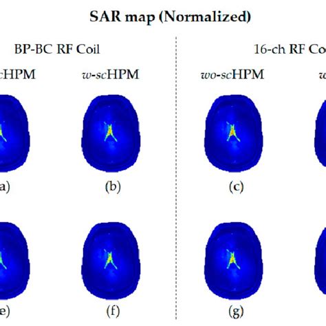 normalized sar maps constructed using norm coef values a bp bc rf