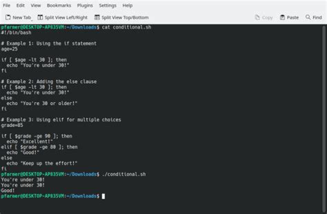 Conditional Magic Mastering Decision Making In Bash Scripting Linuxmo