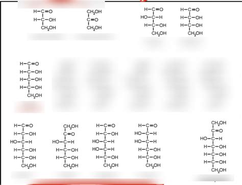 Linear Monosaccharides Diagram Quizlet