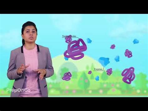 Ecosystem Video Lecture Biology For SSS