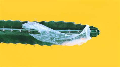 Condom Broke What To Do Pregnancy And Stis