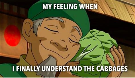 Avatar The Last Airbender The 10 Best Cabbage Man Memes