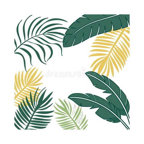 Thin Rectangular Frame Created From Layered Tree Branches With Clean