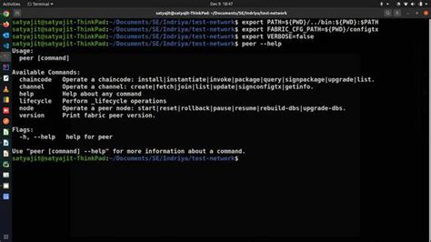 CLI API In Hyperledger GeeksforGeeks