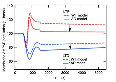 Scientists Show How Gene Expression Controls Eurekalert