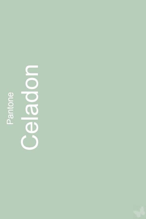 Celadon Green Color Palette