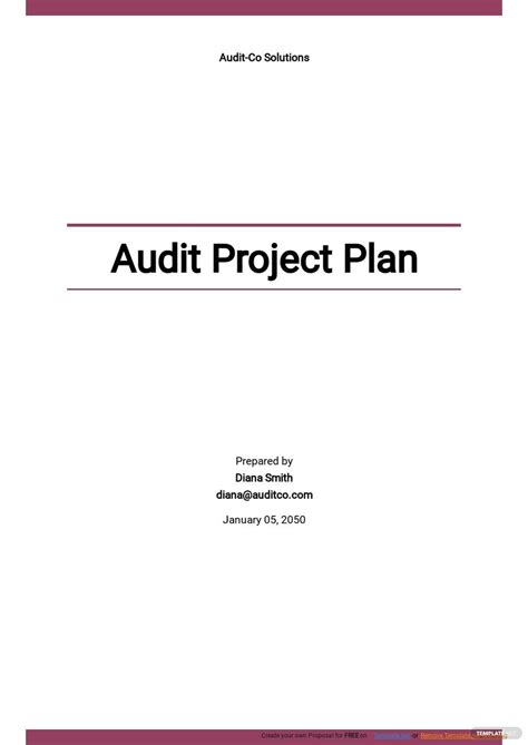 Audit Project Plan Template Google Docs Word Apple Pages Template Net