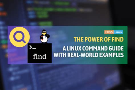 How To Use The Chmod Command For File Permissions In Linux