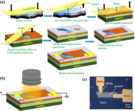 A Fabrication Steps For Mose2p Gan Heterojunction Device B