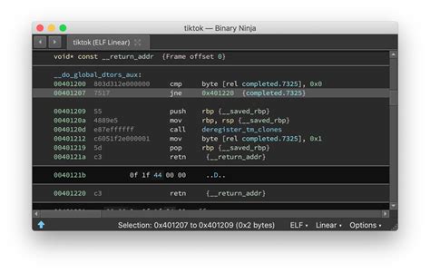 Patching In Linear View With Never Branch Or Nop Patches The Wrong