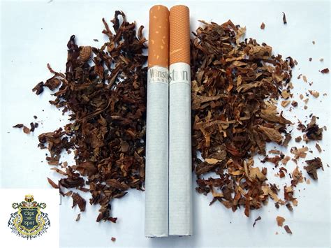 Winston Vs Winston 6 Cigsspot