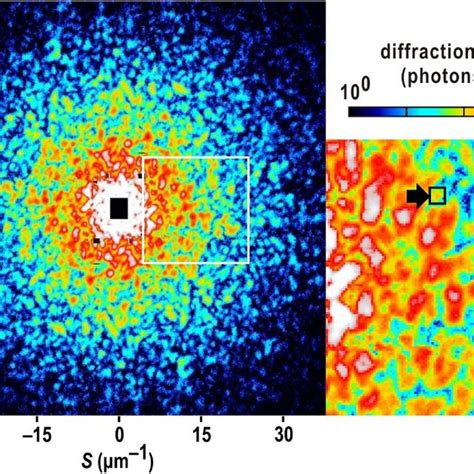 Typical Diffraction Pattern From The Yeast Nucleus In The Interphase