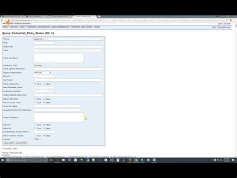 ArcGIS Server 10 X Return Distinct Values From Query Window For Arcgis Rest Services Server