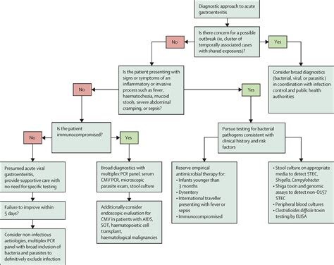 Viral Gastroenteritis The Lancet
