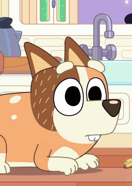 Chilli Heeler Photo On Mycast Fan Casting Your Favorite Stories