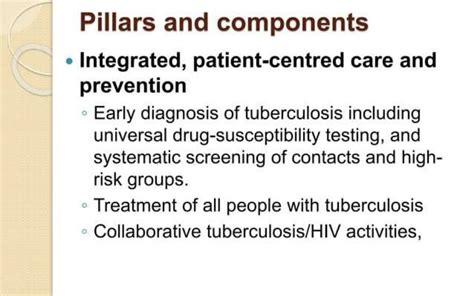 Tb Control Adult Health Nursing Tuberculosis Pptx