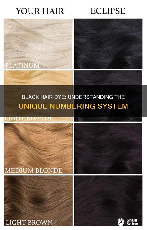 Black Hair Dye Understanding The Unique Numbering System Shunsalon
