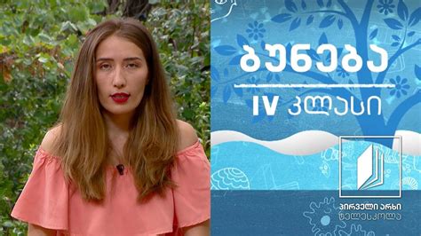 ბუნება Iv კლასი მცენარეები წიწვოვანი მცენარეები ყვავილოვანი მცენარეები ტელესკოლა Youtube