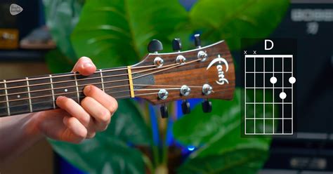 The D Major Chord Andy Guitar