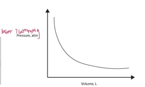 Week 3 Respiration Flashcards Quizlet
