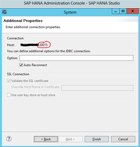 Whats Up With Sap Hana Multi Tenancy