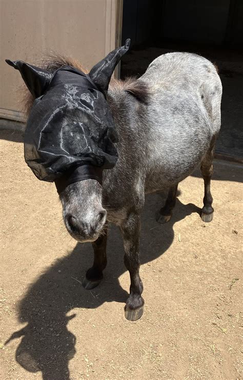 Blue Apple Ranch Added A New Photo Blue Apple Ranch