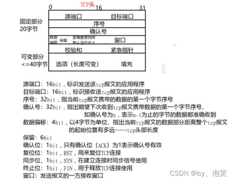 【网络篇】socket编程——tcp（史上最全） tcp socket csdn博客