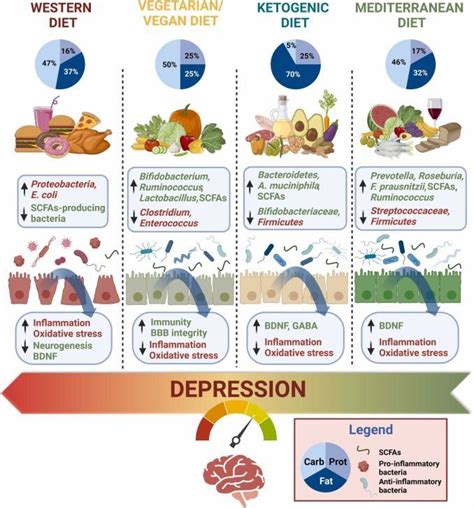 Neuroinflammation Mediterraneandiet Microbiota Depression