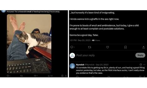 Ennui Meaning Definition And Usage On Social Media