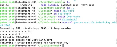 Exploring Methods Of Creating Sll For Localhost In Nodejs