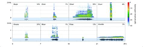 spectrograms for the eight call types produced under water by two