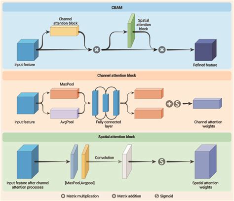 An Interpretable Deep Learning Enso Forecasting Model Ocean Land