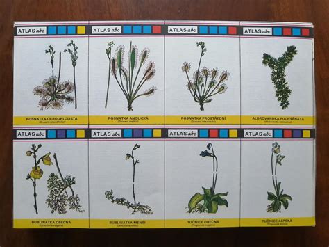 Atlas Abc FlÓra 012 8x 1 Arch Aukro